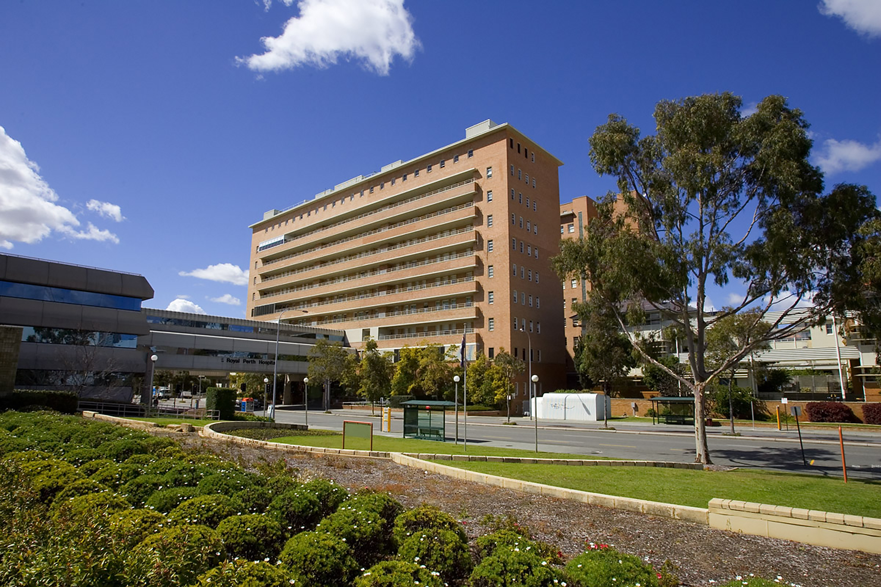 Coordinator of Nursing